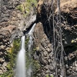Fall Creek Falls Trail, Oregon - 375 Reviews, Map | AllTrails