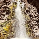 Fall Creek Falls Trail, Oregon - 375 Reviews, Map | AllTrails