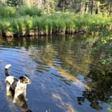 Lake Margaret Trail, California - 1,082 Reviews, Map | AllTrails