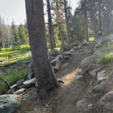 Lake Margaret Trail, California - 1,082 Reviews, Map | AllTrails