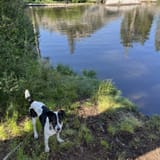 Lake Margaret Trail, California - 1,082 Reviews, Map | AllTrails