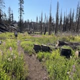 Lake Margaret Trail, California - 1,082 Reviews, Map | AllTrails