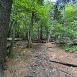 Severance Mountain, New York - 969 Reviews, Map | AllTrails