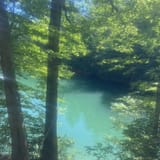 Thompson Loop, North Carolina - 185 Reviews, Map | AllTrails