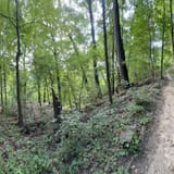 Point Park and Craven's House Loop, Georgia - 974 Reviews, Map | AllTrails