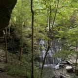 Busby and Machine Falls Loop, Tennessee - 2,175 Reviews, Map | AllTrails