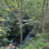 Busby and Machine Falls Loop, Tennessee - 2,175 Reviews, Map | AllTrails