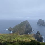 Cape Brett Track, Northland, New Zealand - 227 Reviews, Map | AllTrails