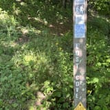 Lost Cove Trail, North Carolina - 212 Reviews, Map | AllTrails