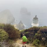 Cape Brett Track, Northland, New Zealand - 227 Reviews, Map | AllTrails