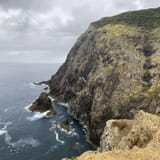 Cape Brett Track, Northland, New Zealand - 227 Reviews, Map | AllTrails