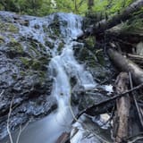 Mima Falls Loop, Washington - 1,713 Reviews, Map | AllTrails