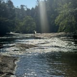Cartecay River Loop Trail, Georgia - 2,176 Reviews, Map | AllTrails