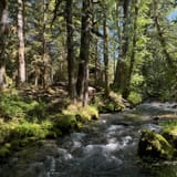 Kalama Falls Trail, Washington - 700 Reviews, Map | AllTrails