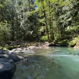 Kalama Falls Trail, Washington - 700 Reviews, Map | AllTrails