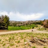 Tamarack Peak Loop, Nevada - 1,065 Reviews, Map | AllTrails