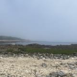 Timber Point, Maine - 397 Reviews, Map | AllTrails