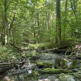 Shaker Mountain Loop via Shaker Trail, Massachusetts - 490 Reviews, Map ...