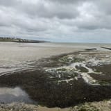 The Viking Coastal Trail, Kent, England - 80 Reviews, Map | AllTrails