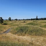 Mima Mounds Trail, Washington - 468 Reviews, Map | AllTrails