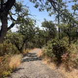 Upper Table Rock Trail, Oregon - 1,810 Reviews, Map | AllTrails