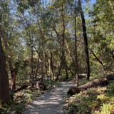 Upper Table Rock Trail, Oregon - 1,810 Reviews, Map | AllTrails