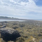 Timber Point, Maine - 397 Reviews, Map | AllTrails