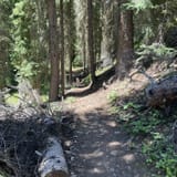 Strawberry Lake, Colorado - 1,397 Reviews, Map | AllTrails