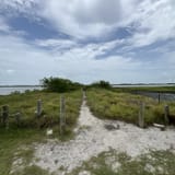 Oso Bay Wetlands Preserve, Texas - 384 Reviews, Map | AllTrails