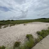 Oso Bay Wetlands Preserve, Texas - 384 Reviews, Map | AllTrails