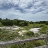 Oso Bay Wetlands Preserve, Texas - 384 Reviews, Map | AllTrails