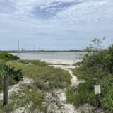 Oso Bay Wetlands Preserve, Texas - 384 Reviews, Map | AllTrails