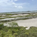 Oso Bay Wetlands Preserve, Texas - 384 Reviews, Map | AllTrails