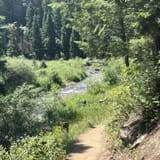 North Fork Big Thompson River Trail Via Dunraven Trailhead, Colorado ...