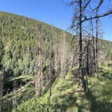 North Fork Big Thompson River Trail Via Dunraven Trailhead, Colorado ...