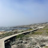 Asilomar State Beach and Coast Trail, California - 913 Reviews, Map ...