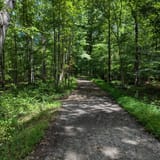 Cash Lake Loop Trail, Maryland - 1,144 Reviews, Map | AllTrails