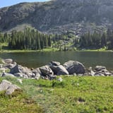 Timber Lake Trail, Colorado - 688 Reviews, Map | AllTrails