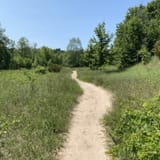 Treat Farm Trail, Michigan - 1,005 Reviews, Map | AllTrails
