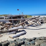 Bayocean Peninsula, Oregon - 710 Reviews, Map | AllTrails