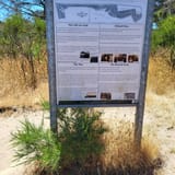 Bayocean Peninsula, Oregon - 710 Reviews, Map | AllTrails