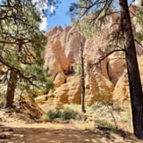Red Mountain Trail, Arizona - 1,010 Reviews, Map | AllTrails