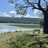 Colyer Lake Loop, Pennsylvania - 788 Reviews, Map | AllTrails