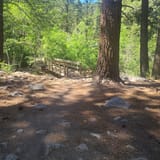 Dry Pond Loop, Nevada - 1,640 Reviews, Map | AllTrails