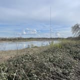 The Meadows Slough Trail, California - 449 Reviews, Map | AllTrails