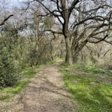 The Meadows Slough Trail, California - 449 Reviews, Map | AllTrails