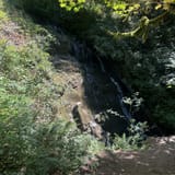 Lake to Lake Trail Loop via Lacamas Creek, Washington - 2,655 Reviews ...