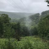 Gerard Hiking Trail, Pennsylvania - 300 Reviews, Map | AllTrails
