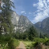 Sentinel Meadow Cook's Meadow Loop Trail, California - 3,765 Reviews ...