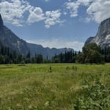 Sentinel Meadow Cook's Meadow Loop Trail, California - 3,765 Reviews ...